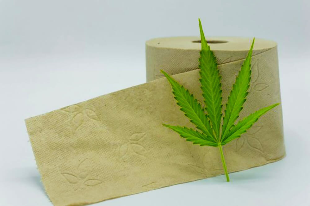 What Makes Hemp Paper Better Than Normal Paper What Makes Hemp Paper Better Than Normal Paper